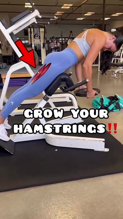 360° Lower Body Transformation - Ultimate Glute & Leg Routine - video ...