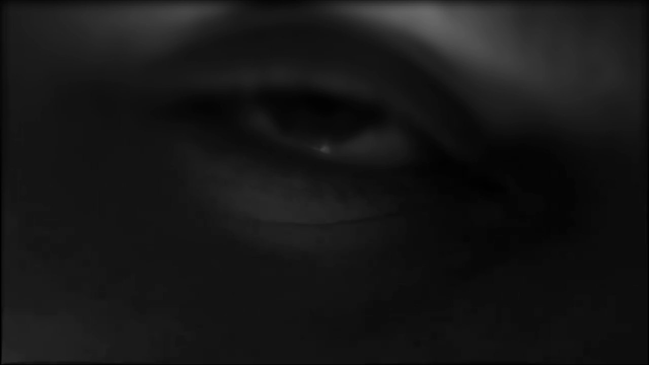 Biggest Snakes Ever Discovered | Largest Snakes in History Biggest ...