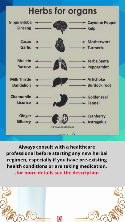 herbs for organs - Video Dailymotion