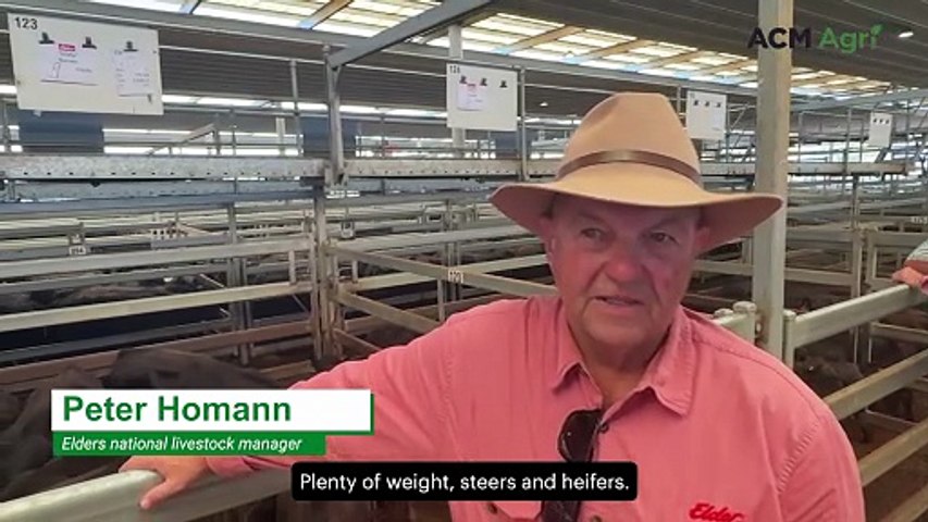 Livestock Videos | The Land | NSW