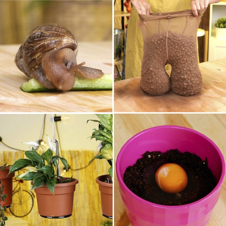 We have a plant hack for every occasion 🌸 #planting #diy #gardening # ...