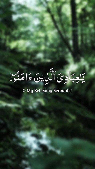 beautiful islamic quotes islamic video - video Dailymotion