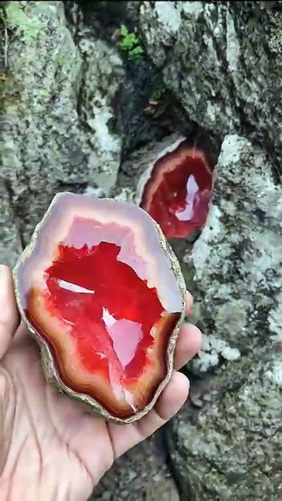 For you - video Dailymotion