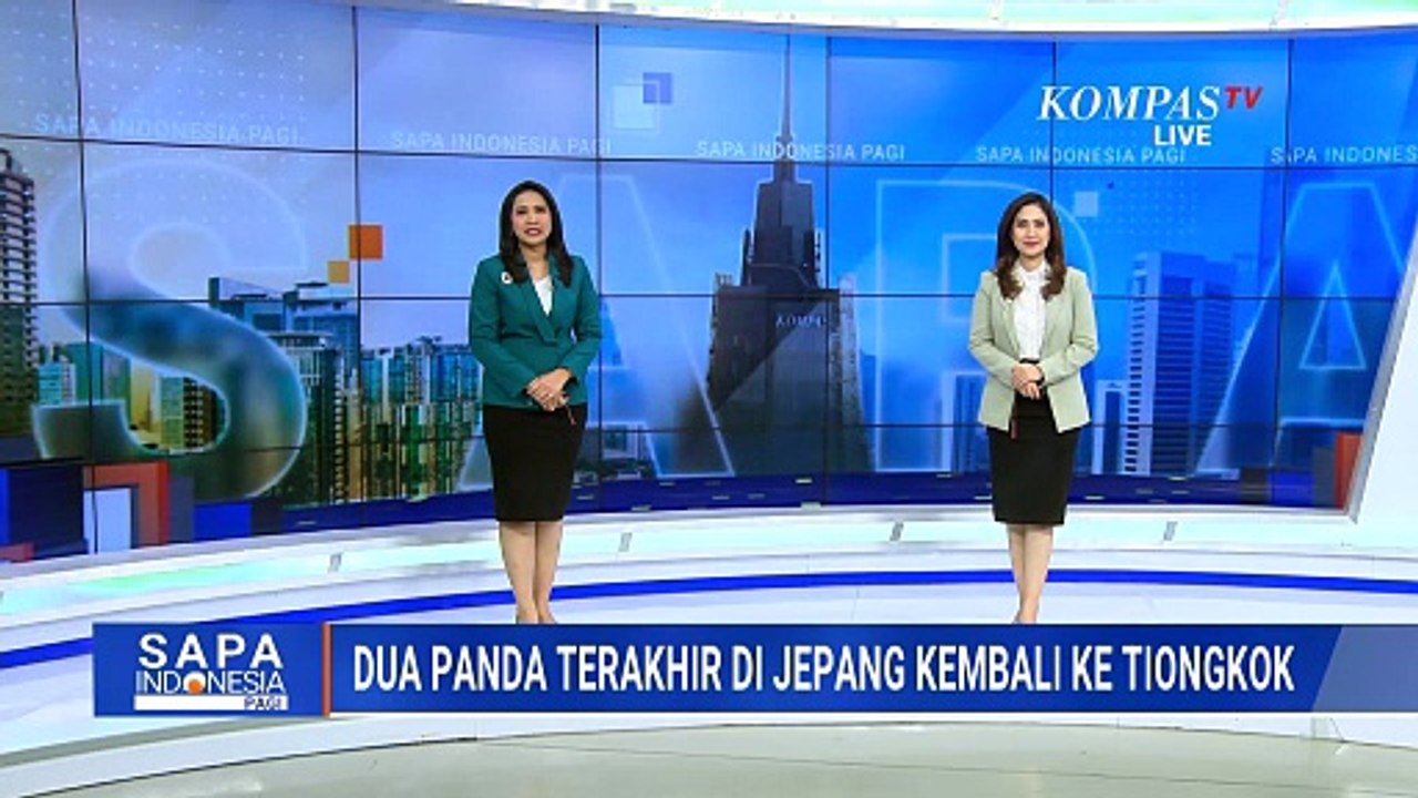 Xiao Xiao dan Lei Lei, Dua Panda Terakhir di Jepang Dikembalikan ke ...