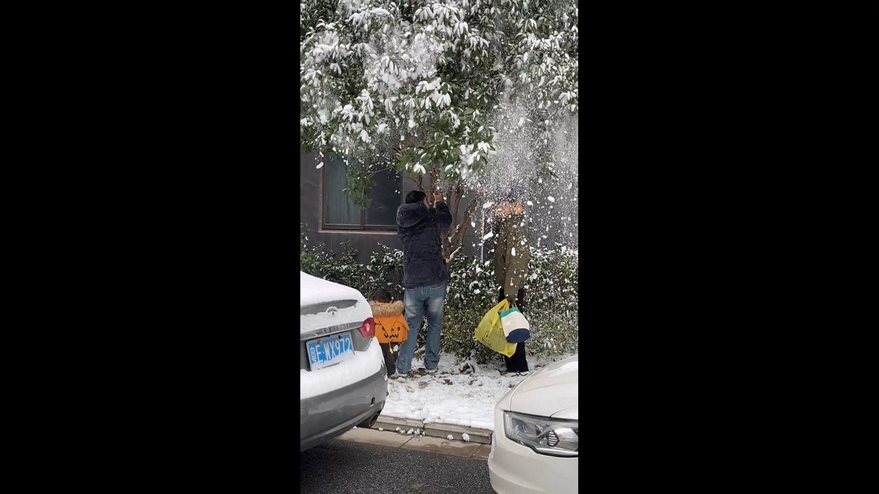 Child startled by falling snow during playful tree shake in Anhui ...