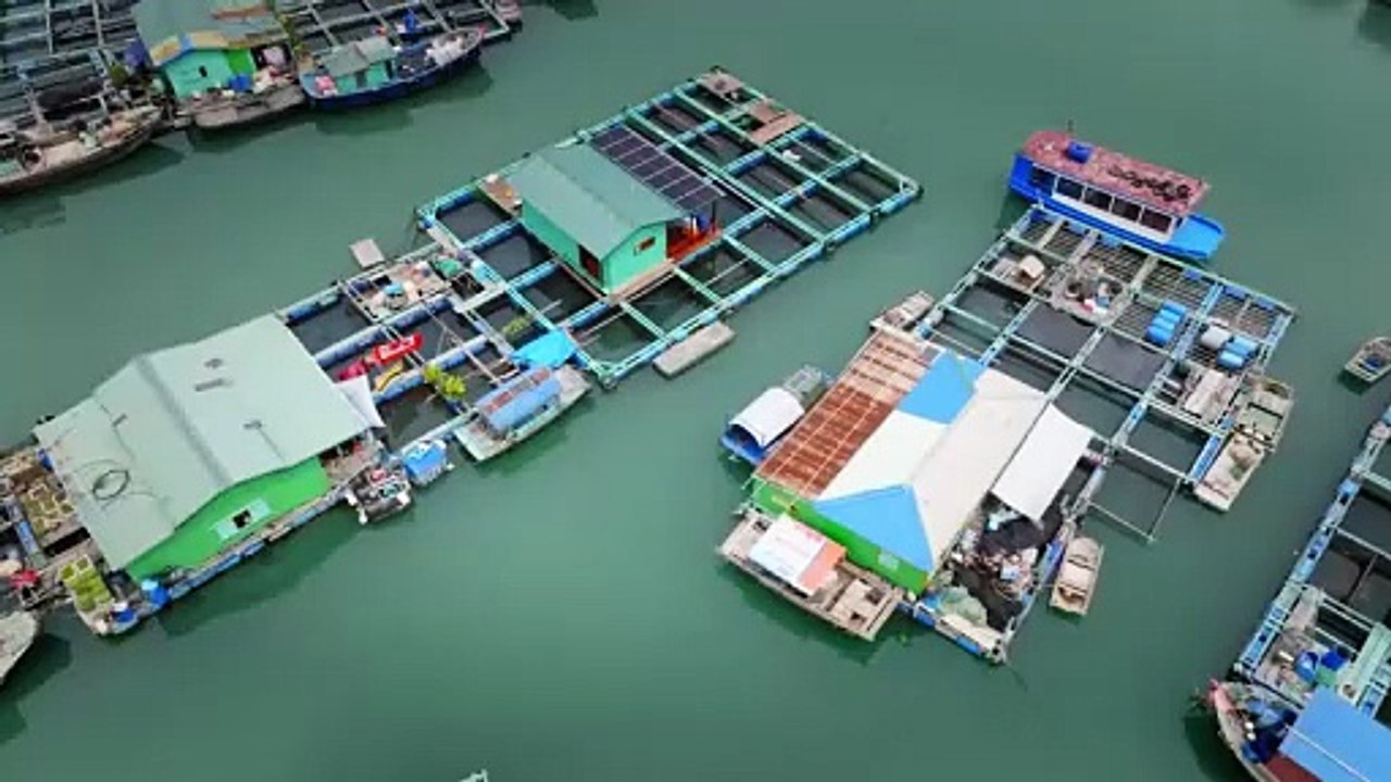 Bill Bailey’s Vietnam - Season 1 Episode 6 - video Dailymotion