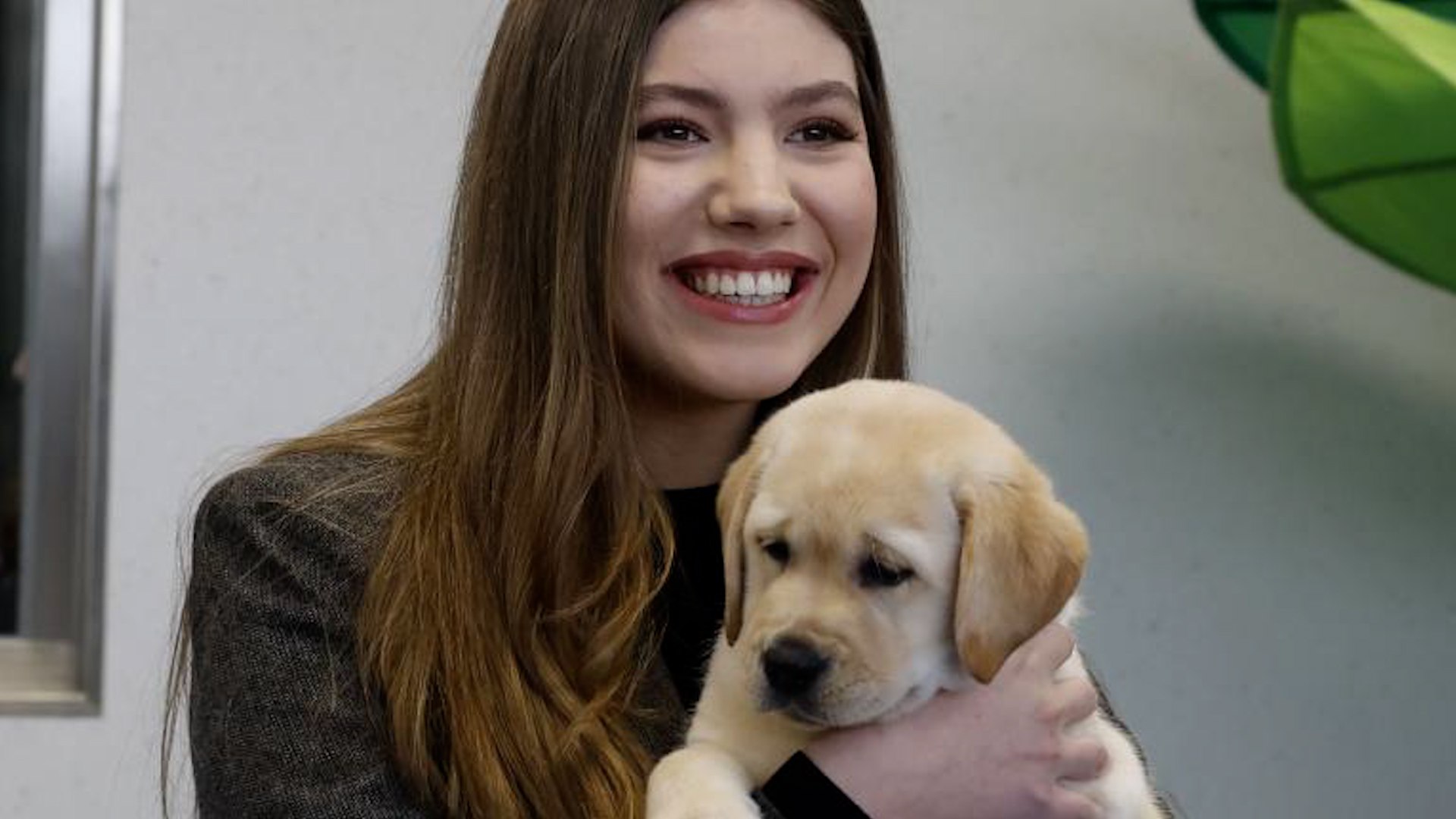 VÍDEO: Proyección protesta sobre un edificio del ICE en Los Ángeles ...