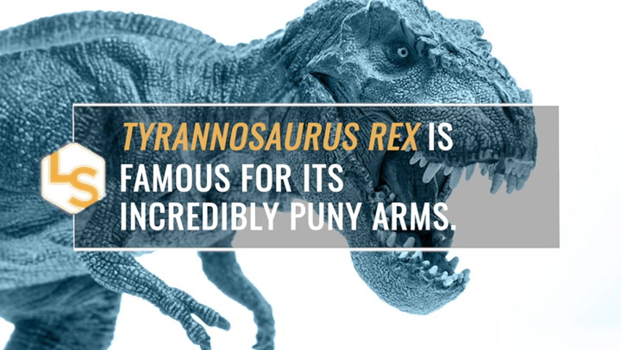 How Did T. rex Move Its Tiny Arms? - video Dailymotion