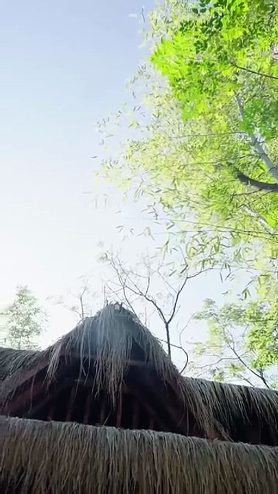 Skilled TCM Doctor - video Dailymotion