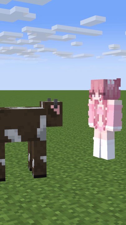 (Minecraft Animation)When inflation hits in minecraft!... - video ...