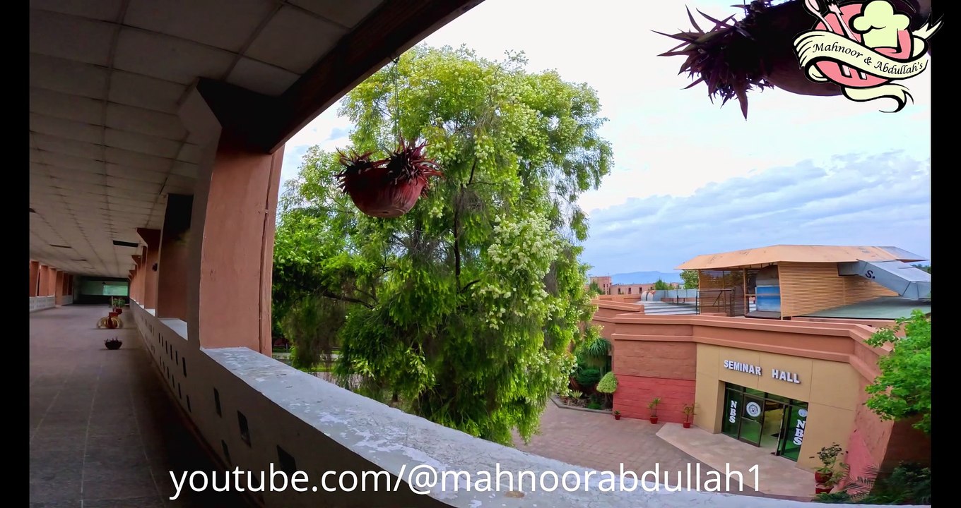 Good morning 5K Ultra HD - video Dailymotion