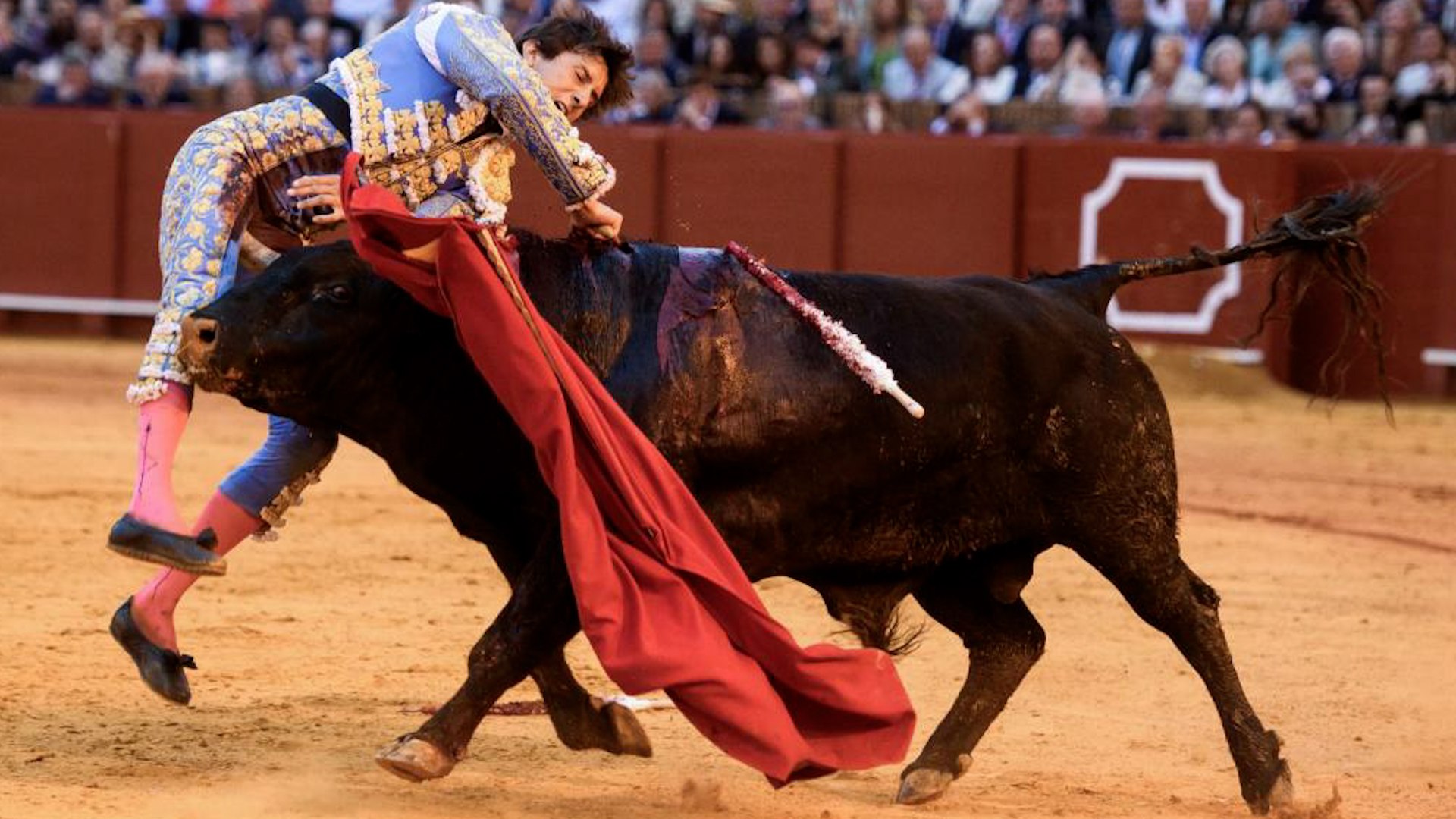 Noticias de Toros | EL MUNDO