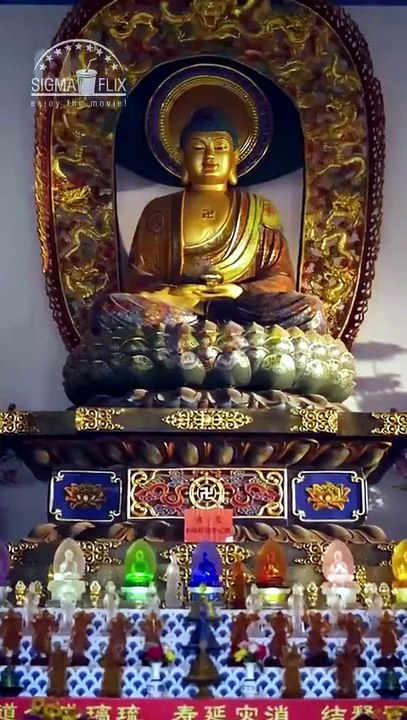 My Unborn Baby Called Me Out Full Chinese Drama - video Dailymotion