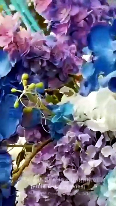 S.w.i.f.t. .V.o.w.s. .L.o.v.e. .S.t.o.r.y. .U.n.f.o.l.d.s [Full Movie ...