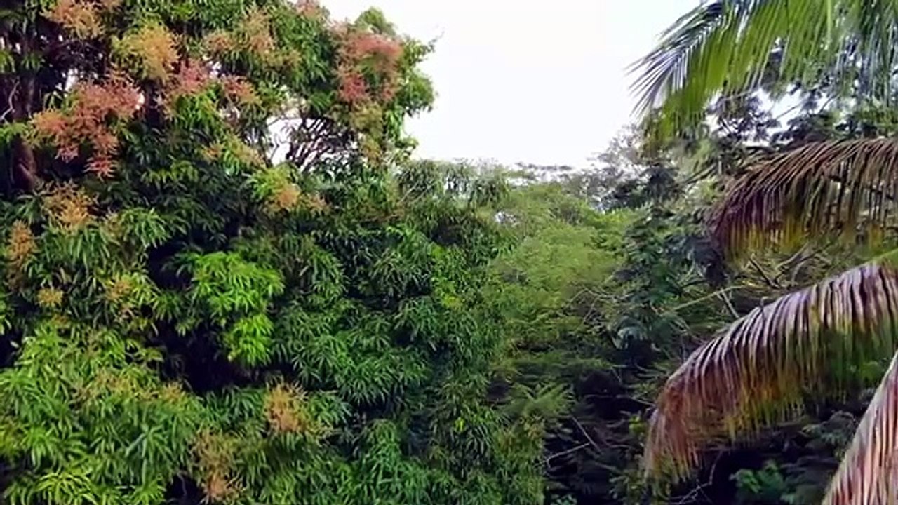 Greatest Mysteries Ever Season 1, Episode 3 The Incas A Sudden Fall ...