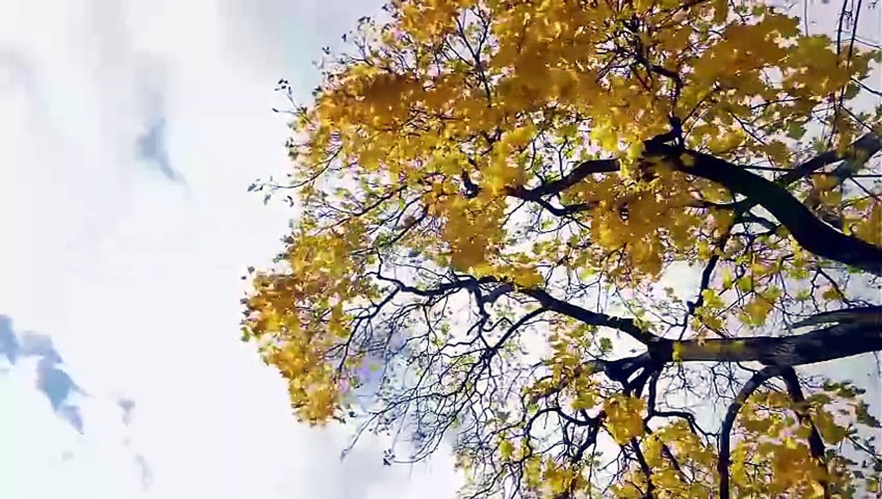 Snow.Falling.On.Pumpkins [Full Movie] [Long Version]Full EP - Full ...