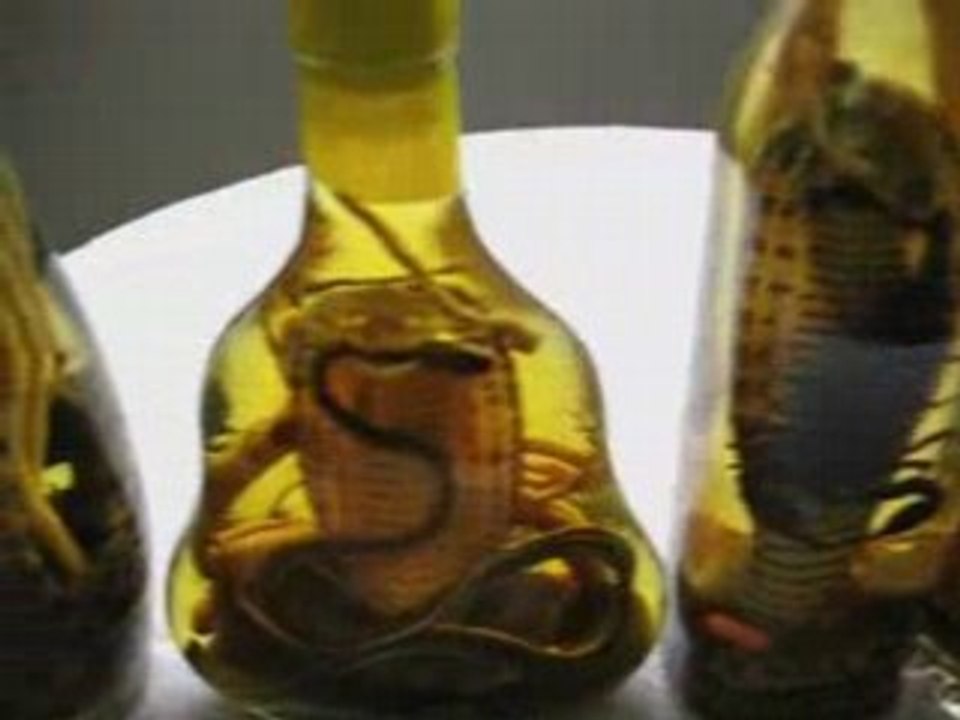 BUY SNAKE WINE AND SCORPION WINE, THE BEST RICE WINE - video Dailymotion