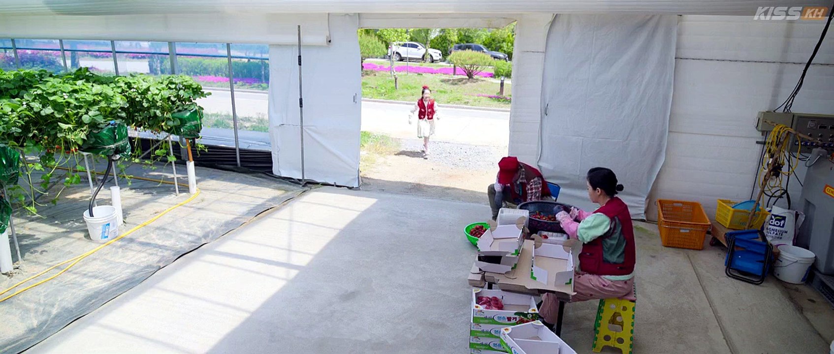 Genie, Make a Wish (2025) Episode 4 English Sub [Full Movie] [Full ...