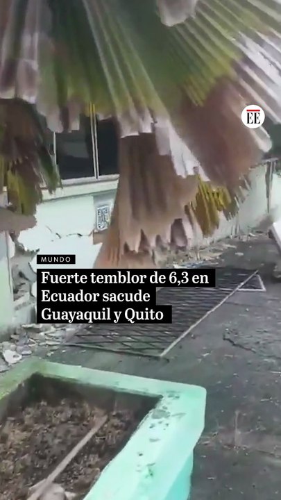 Fuerte temblor de 6,3 en Ecuador sacude Guayaquil y Quito - video ...