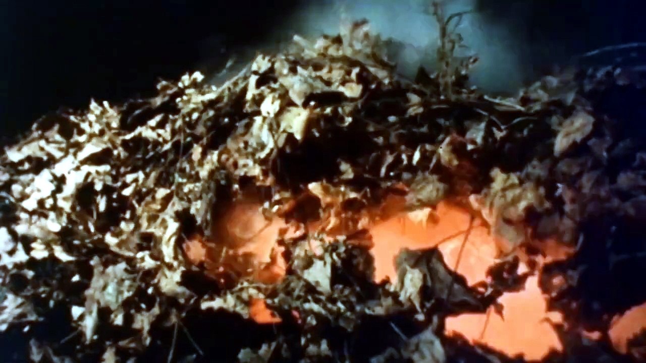 EVIL DEAD (1981) Trailer VO - HD [Full Movie] - video Dailymotion