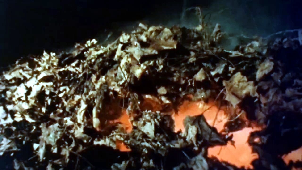 EVIL DEAD (1981) Trailer VO - HD [Full Movie] - video Dailymotion