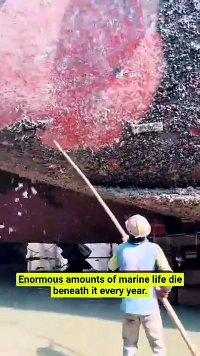 That red paint on ship hulls is toxic—and saves millions in fuel costs ...