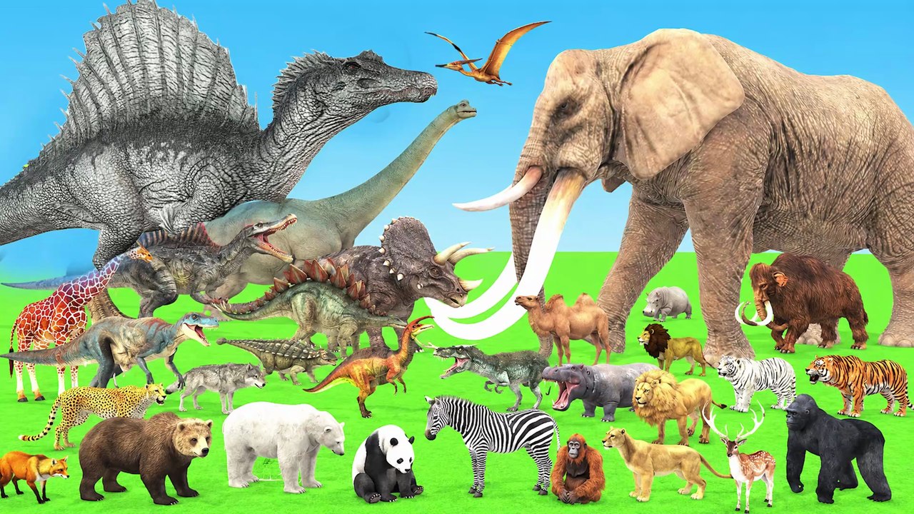 Epic Battle Mammoth Elephant vs T Rex Dinosaurs Versus Wild Animals ...