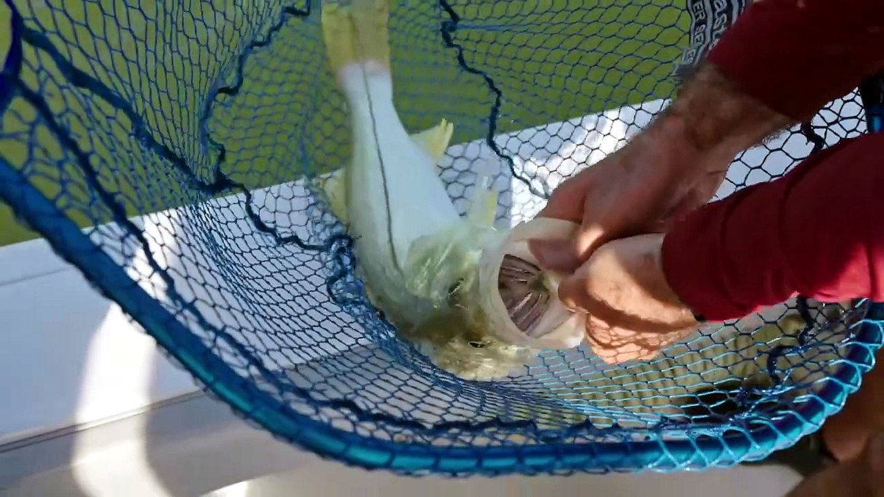 The Fish Guyz S07E06 [Full Movie] - video Dailymotion