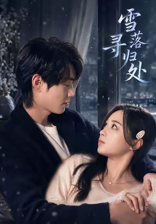 Where the Snow Falls Home- Drama Movie English Sub - video Dailymotion