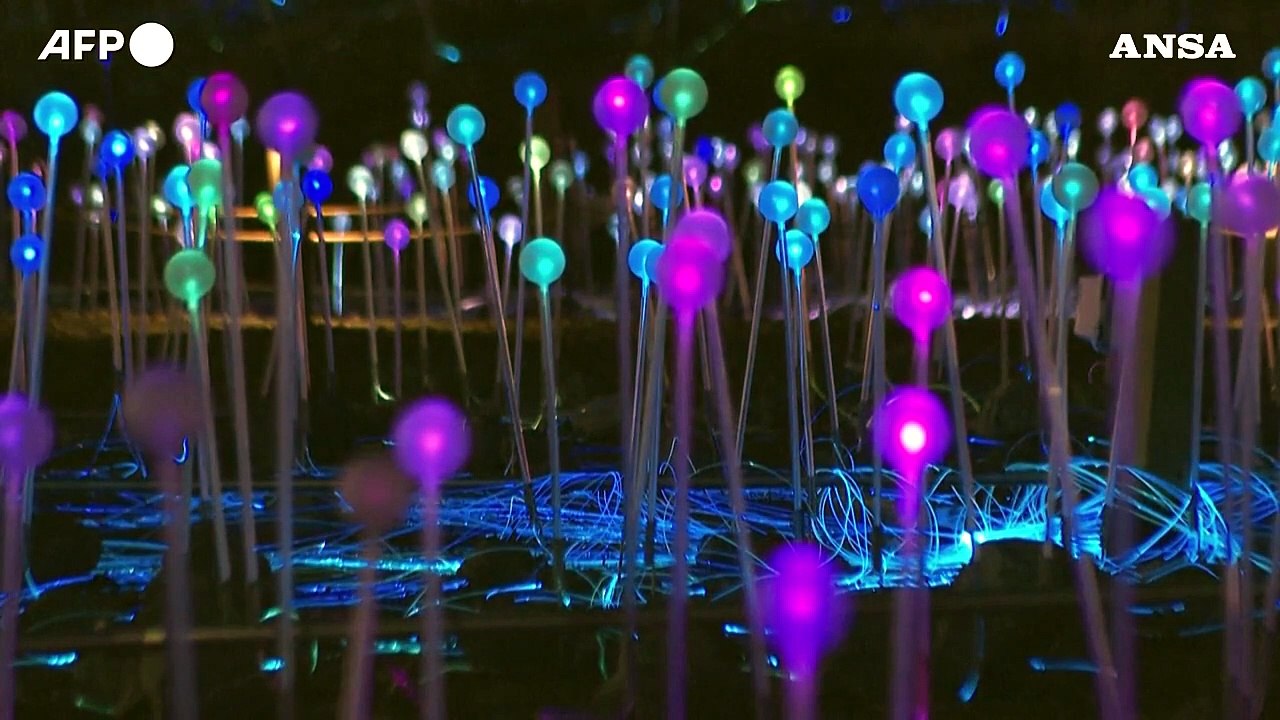 Sbarca a New York l'installazione artistica immersiva 'Field of Light ...