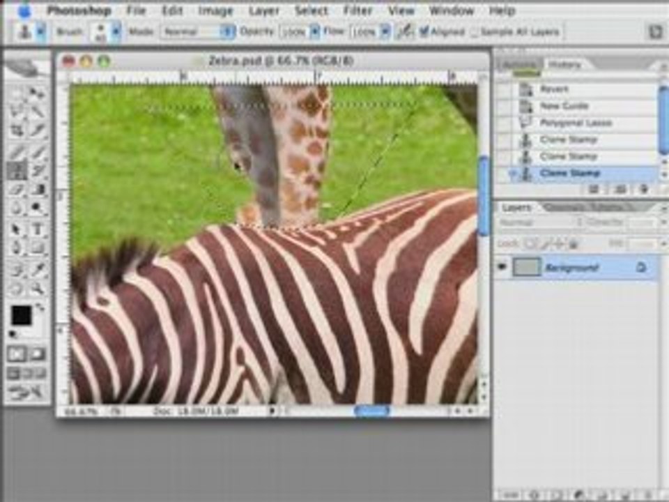 Photoshop Cloning Technique - video Dailymotion