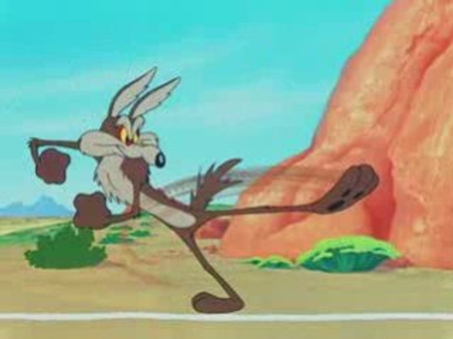 Road Runner Cartoon Running Fast Wile E Coyote And Road Runner From