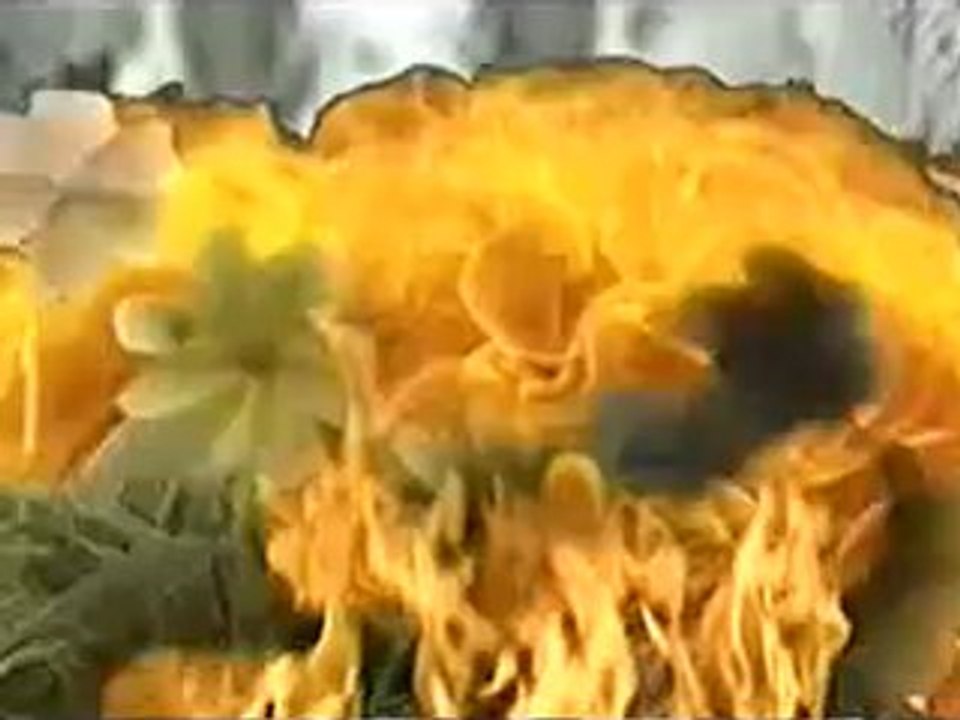 George Bush - Teletubbies - Video Dailymotion