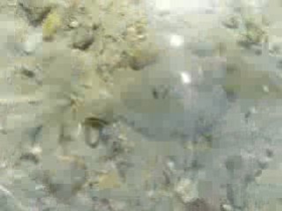 Bbbbbbbbbbbbbbbbbbbbbbbbbb - Vidéo Dailymotion