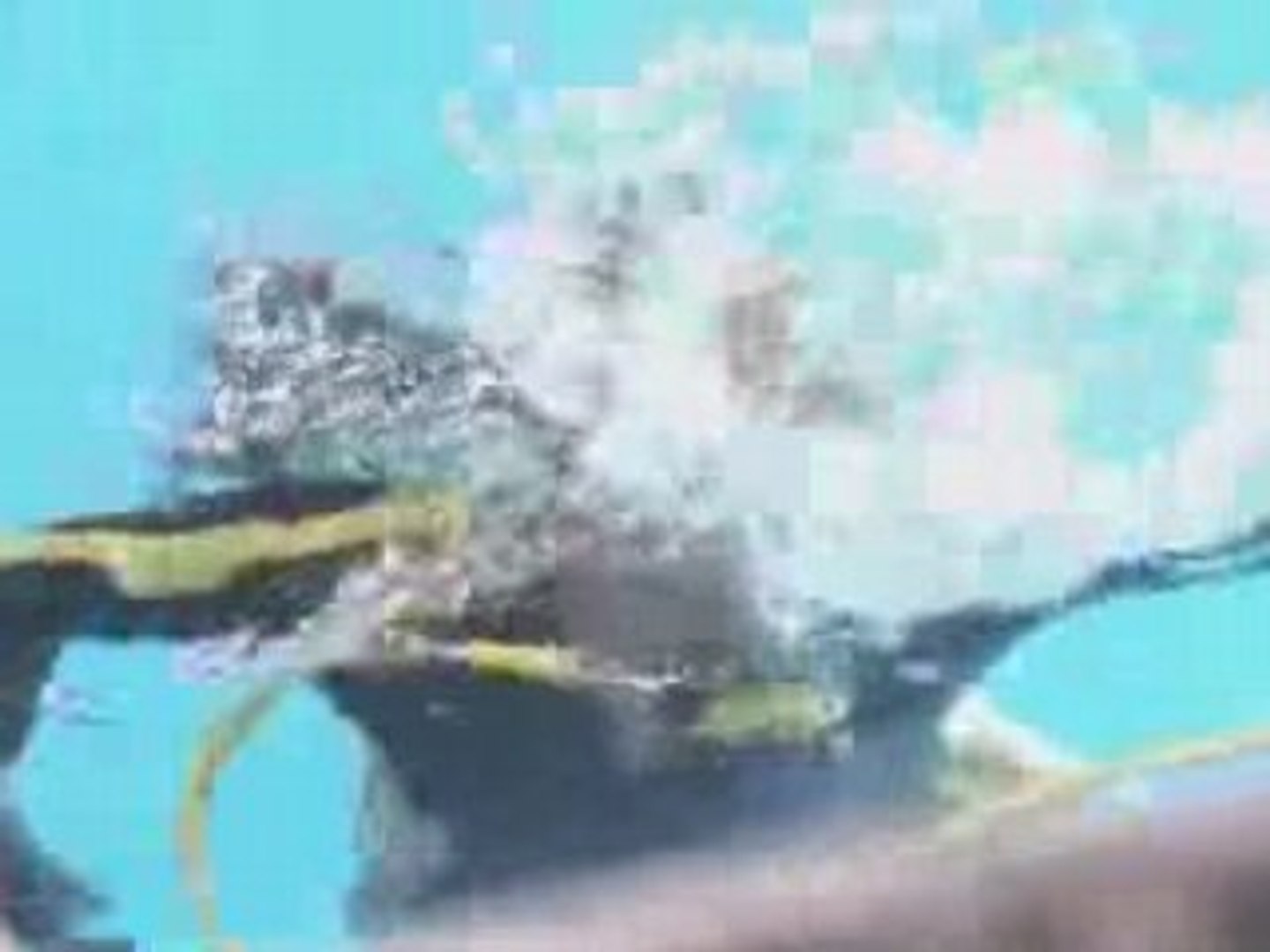 Alison Carroll Underwater