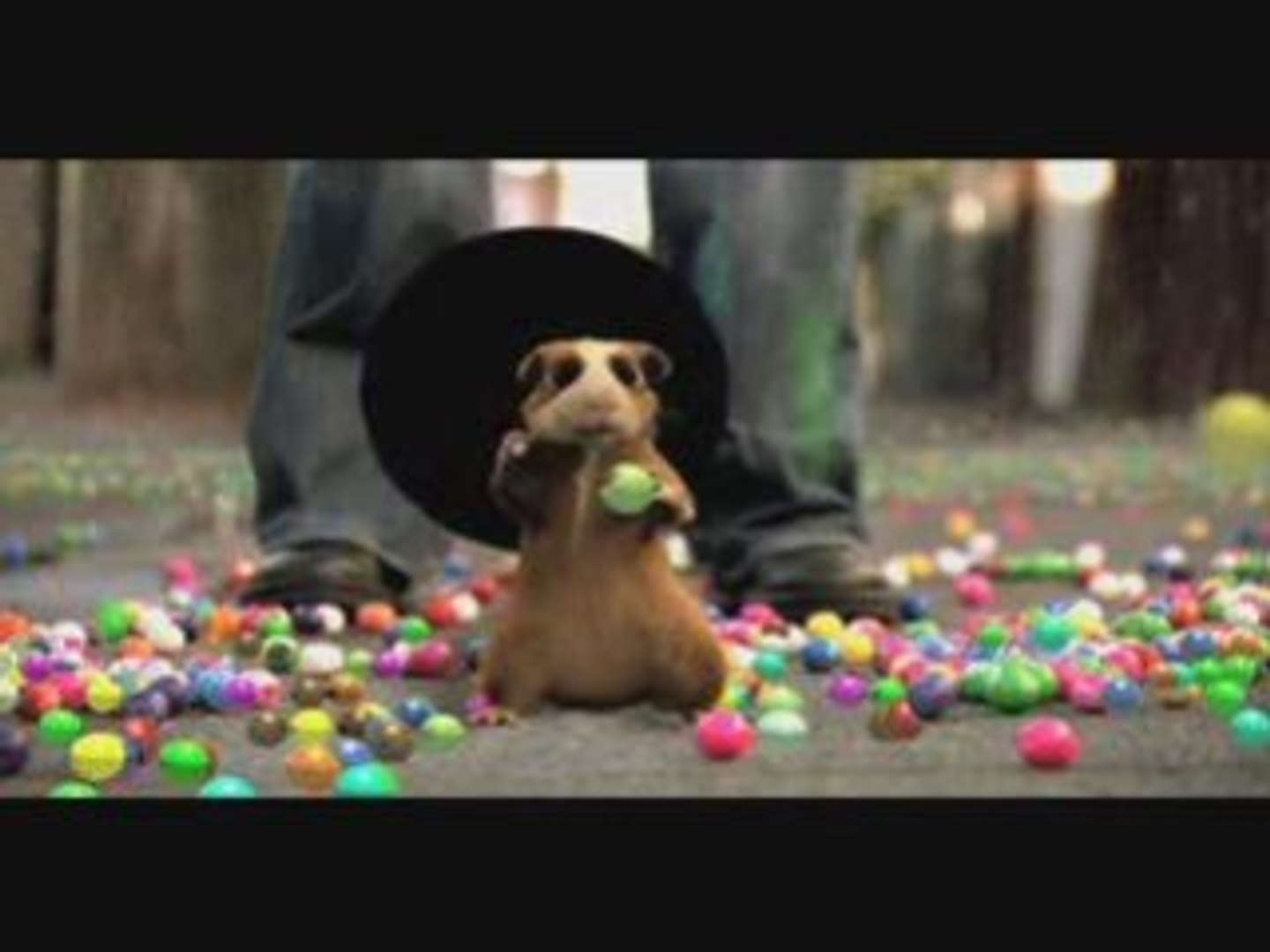 Adam Sandler Bedtime Stories Hamster