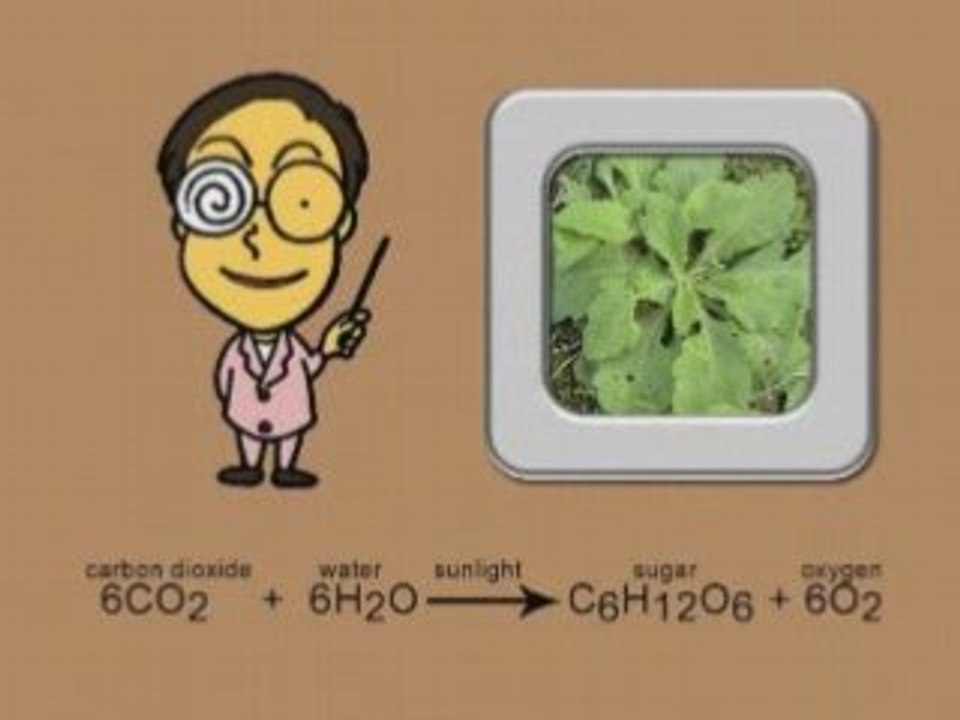 Photosynthesis Song by Peter Weatherall - video Dailymotion