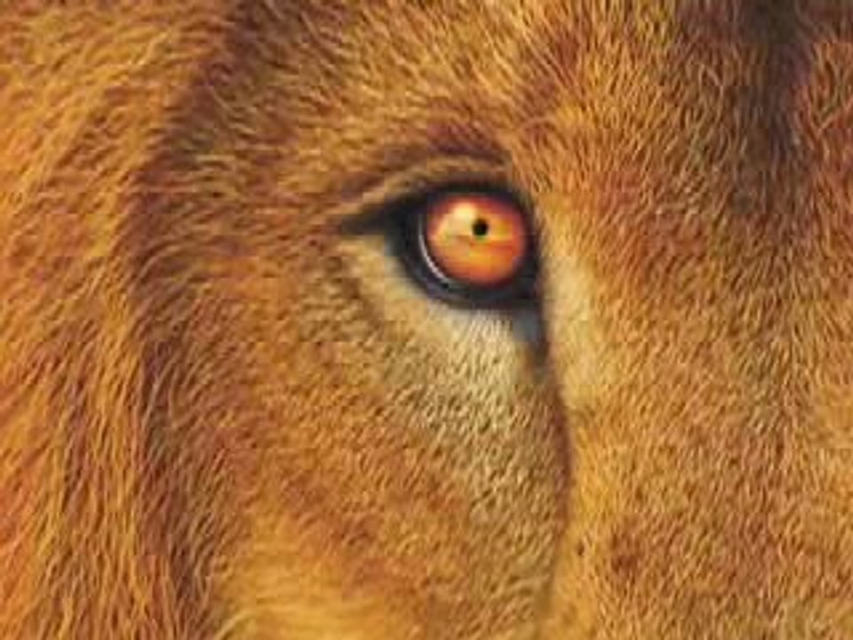 THIERRY SEGALL "INTRO" - video Dailymotion