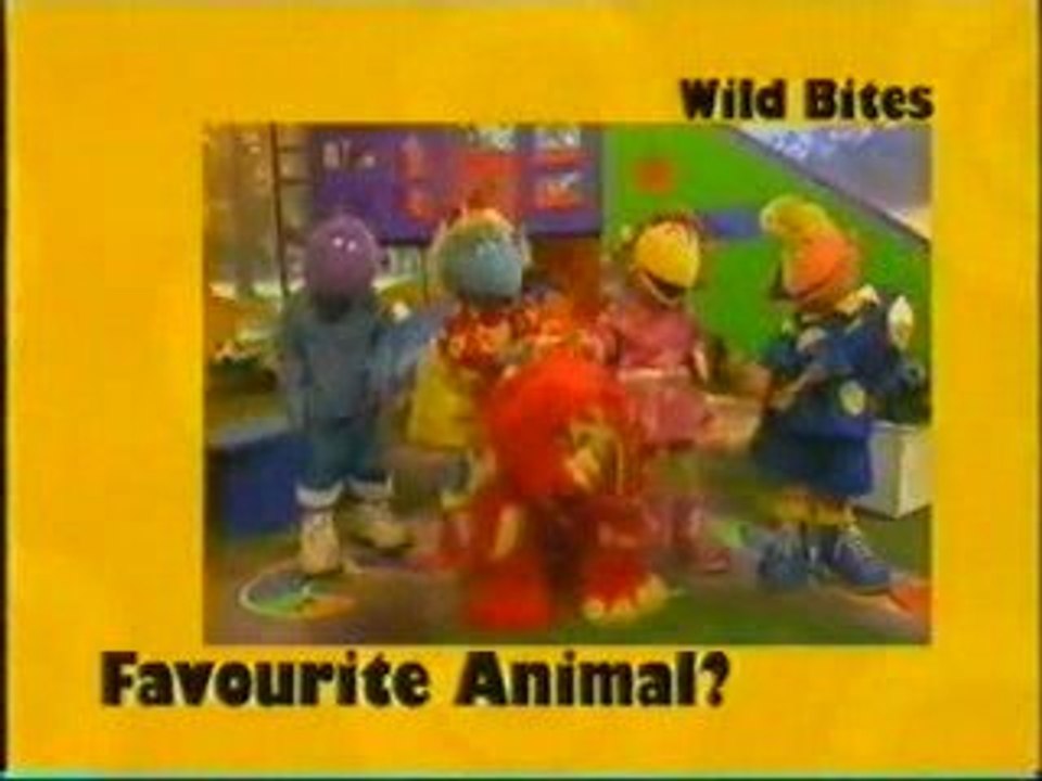 CBBC1 Afternoon Continuity - Wild Week 2001 - video Dailymotion